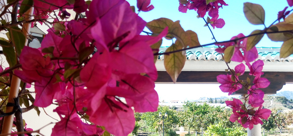 Agualivar 01 Agualivar Spanish School